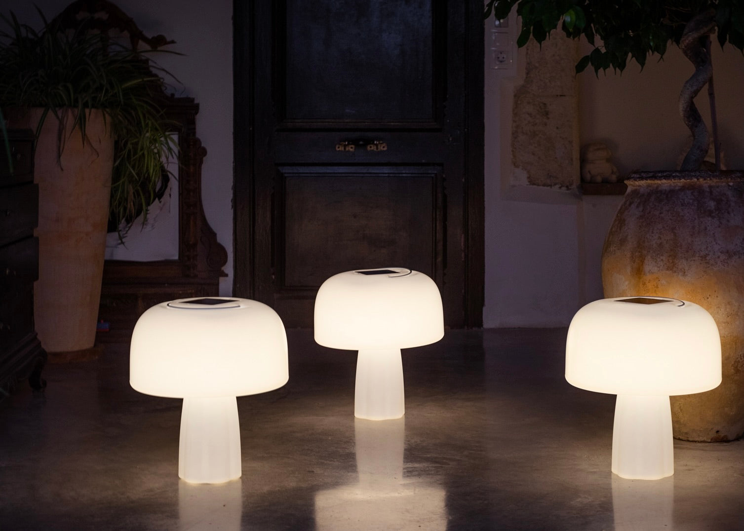 Goodnight Light®️ – goodnightlight